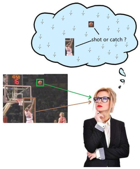 Visual Relationship Detection with Multimodal Fusion and Reasoning