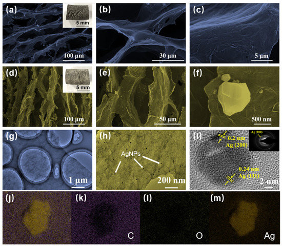 Three-Dimensional Reduced Graphene Oxide Hybrid Nano-Silver Scaffolds ...
