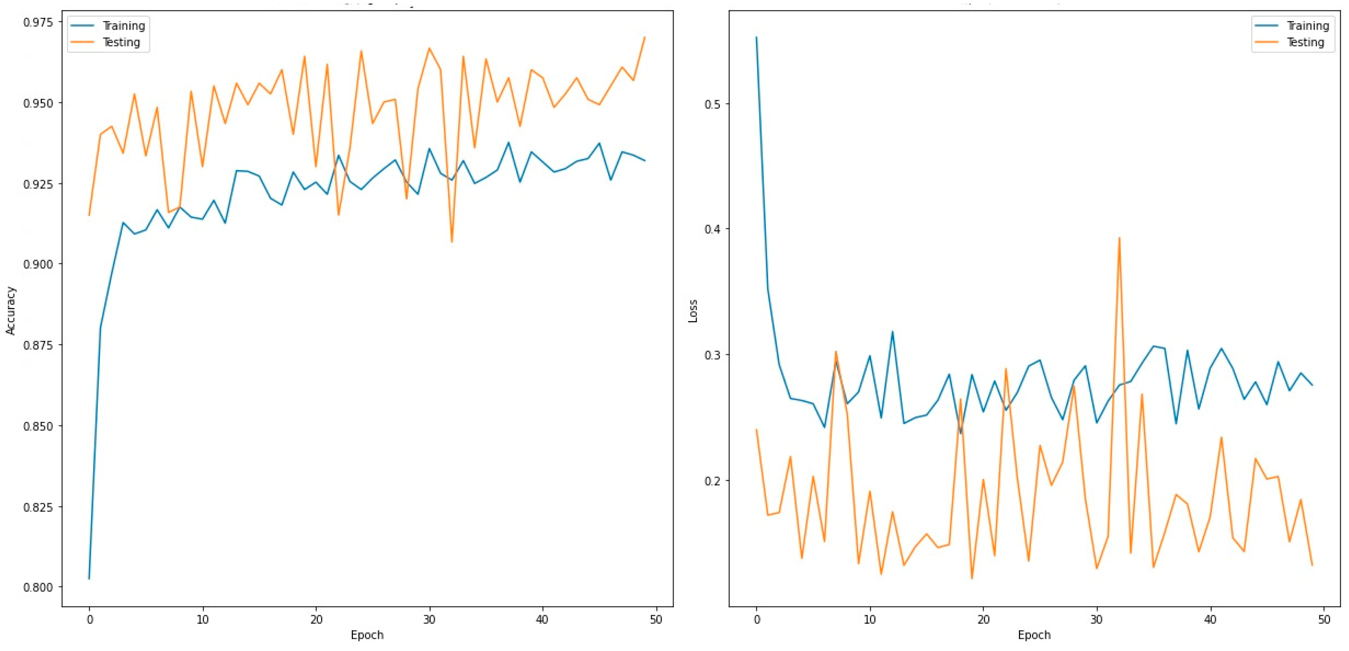 Classification and Detection of COVID-19 and Other Chest-Related ...