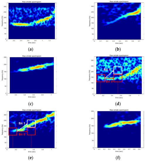 The Long-Range Biomimetic Covert Communication Method Mimicking Large Whale