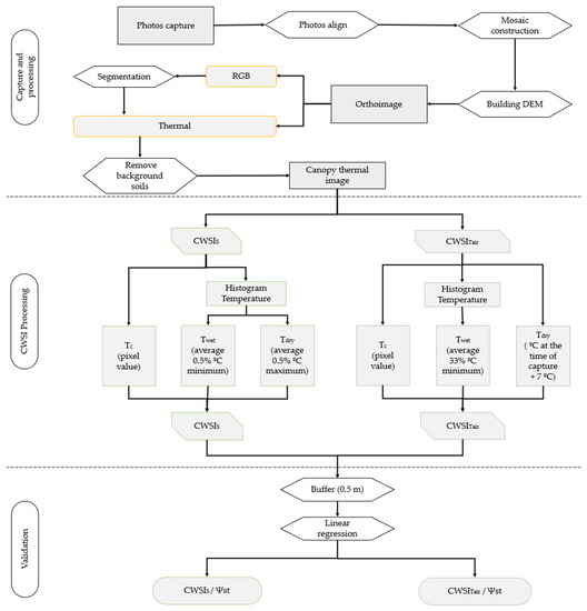 Using Aerial Thermal Imagery to Evaluate Water Status in Vitis vinifera ...