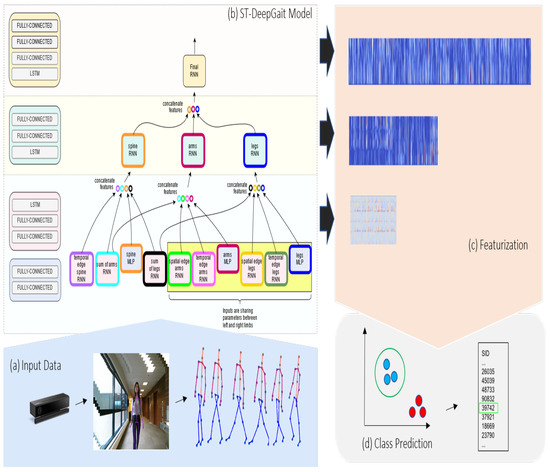 ST-DeepGait: A Spatiotemporal Deep Learning Model for Human Gait ...
