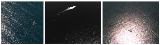 Real-Time Ship Segmentation in Maritime Surveillance Videos Using ...