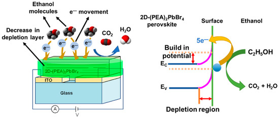 Two-Dimensional (PEA)2PbBr4 Perovskites Sensors for Highly Sensitive ...