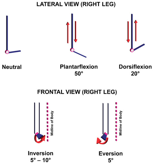 Comparison of the Capacitance of a Cyclically Fatigued Stretch Sensor ...