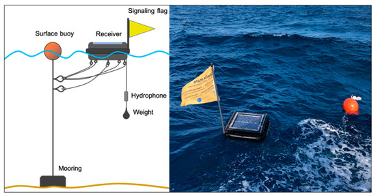 A Wireless Autonomous Real-Time Underwater Acoustic Positioning System