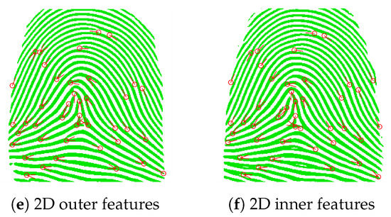 Robust Identification and Segmentation of the Outer Skin Layers in ...