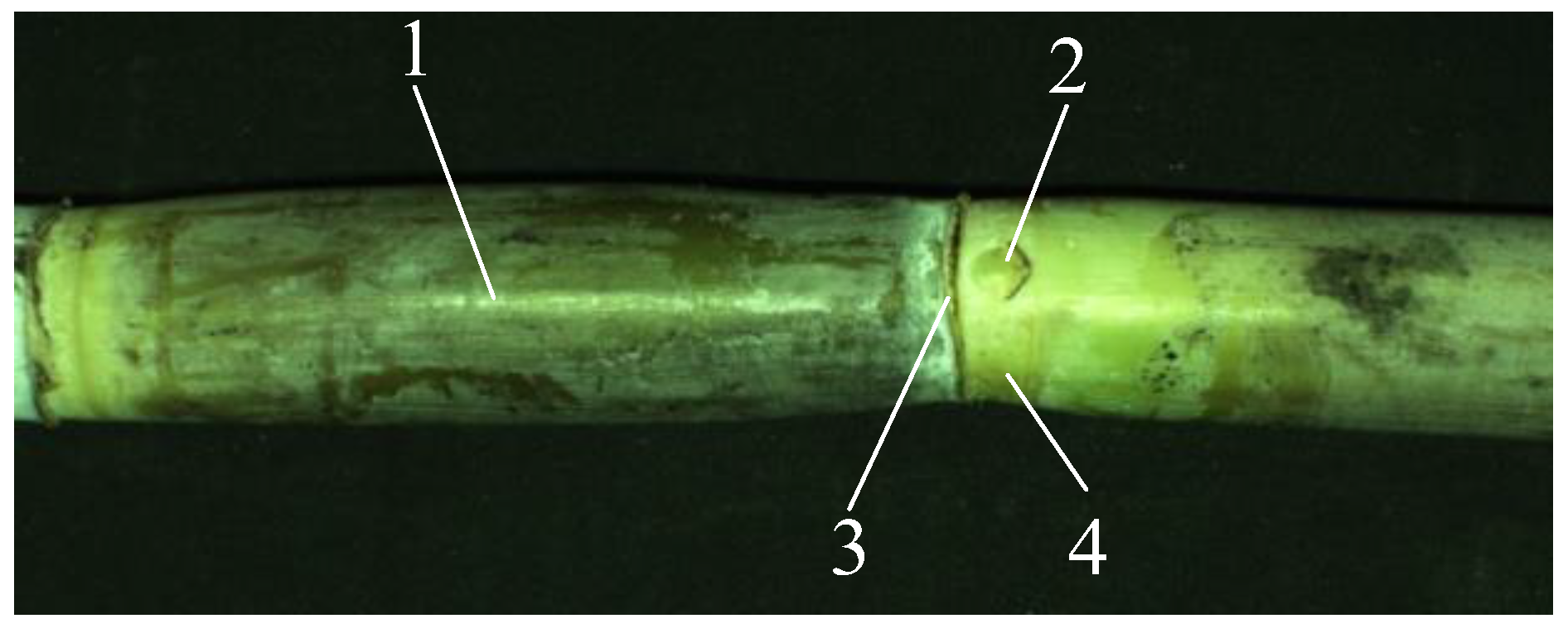 Identification and Localisation Algorithm for Sugarcane Stem Nodes by Combining YOLOv3 and ...