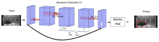 Sensors | Free Full-Text | Class-Aware Fish Species Recognition Using Deep Learning for an ...