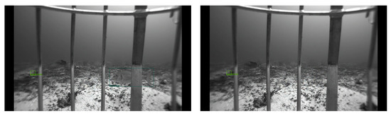 Sensors | Free Full-Text | Class-Aware Fish Species Recognition Using ...