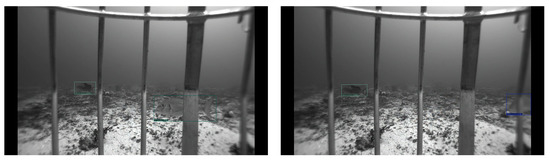 Sensors | Free Full-Text | Class-Aware Fish Species Recognition Using ...