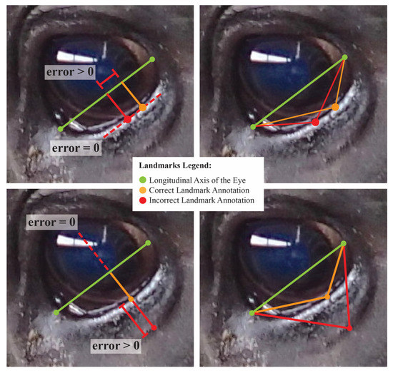 Improving the Reliability of Scale-Free Image Morphometrics in Applications with Minimally ...