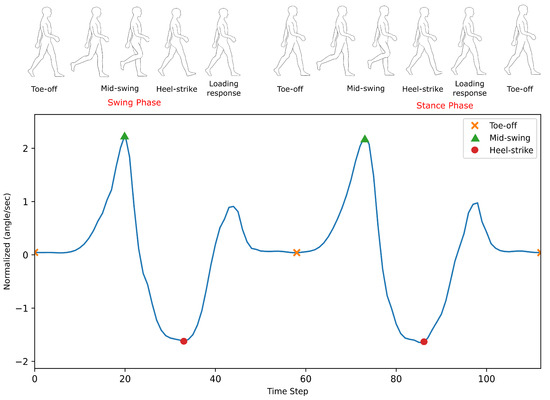 Gait Trajectory Prediction on an Embedded Microcontroller Using Deep ...