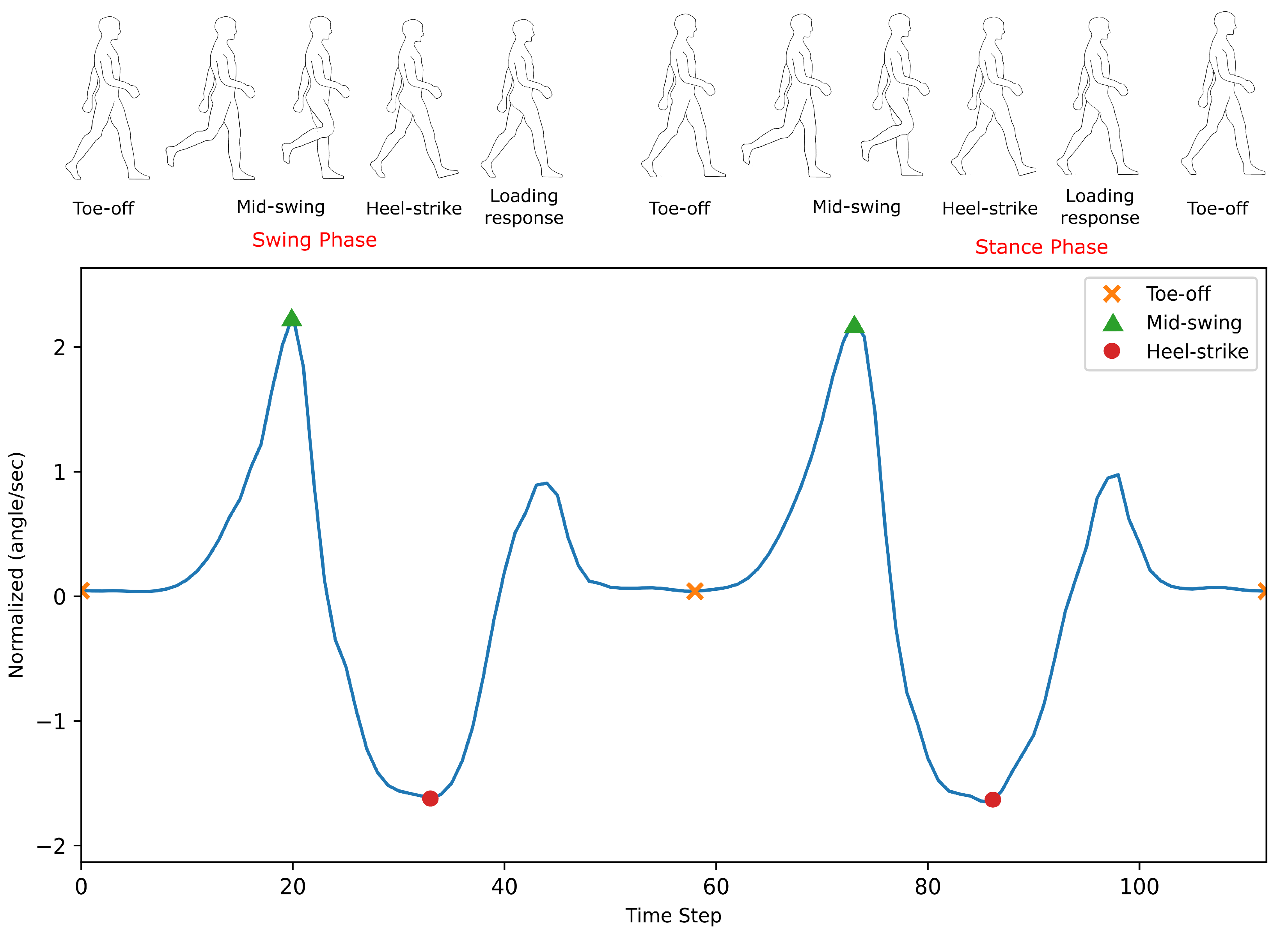 Sensors Free Full Text Gait Trajectory Prediction On An Embedded