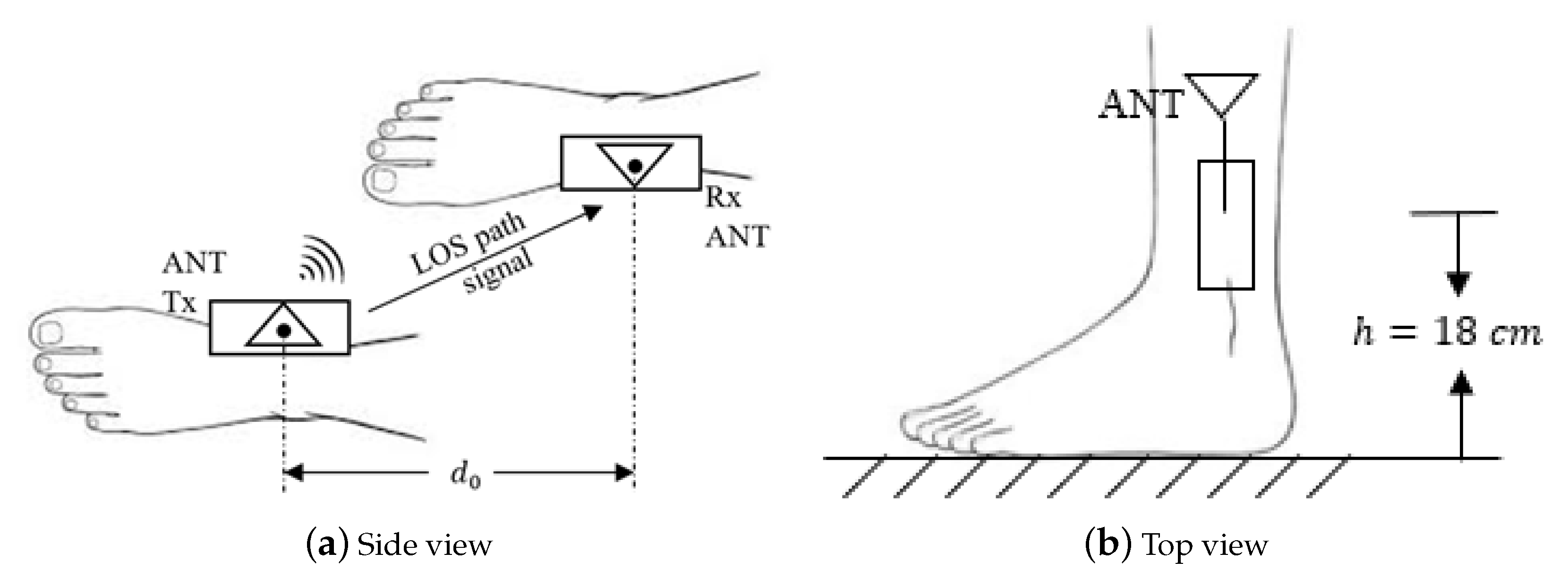 Real-Time Step Length Estimation in Indoor and Outdoor Scenarios