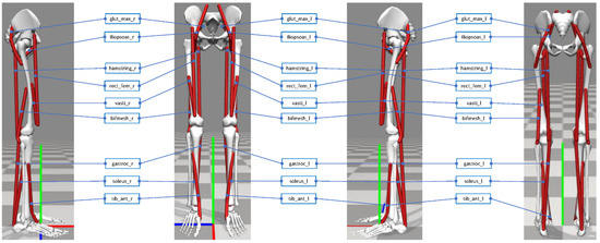 Learning to Ascend Stairs and Ramps: Deep Reinforcement Learning for a ...