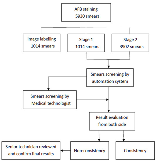 Evaluation of an AI-Based TB AFB Smear Screening System for Laboratory ...