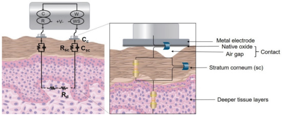 Dependence of Skin-Electrode Contact Impedance on Material and Skin ...