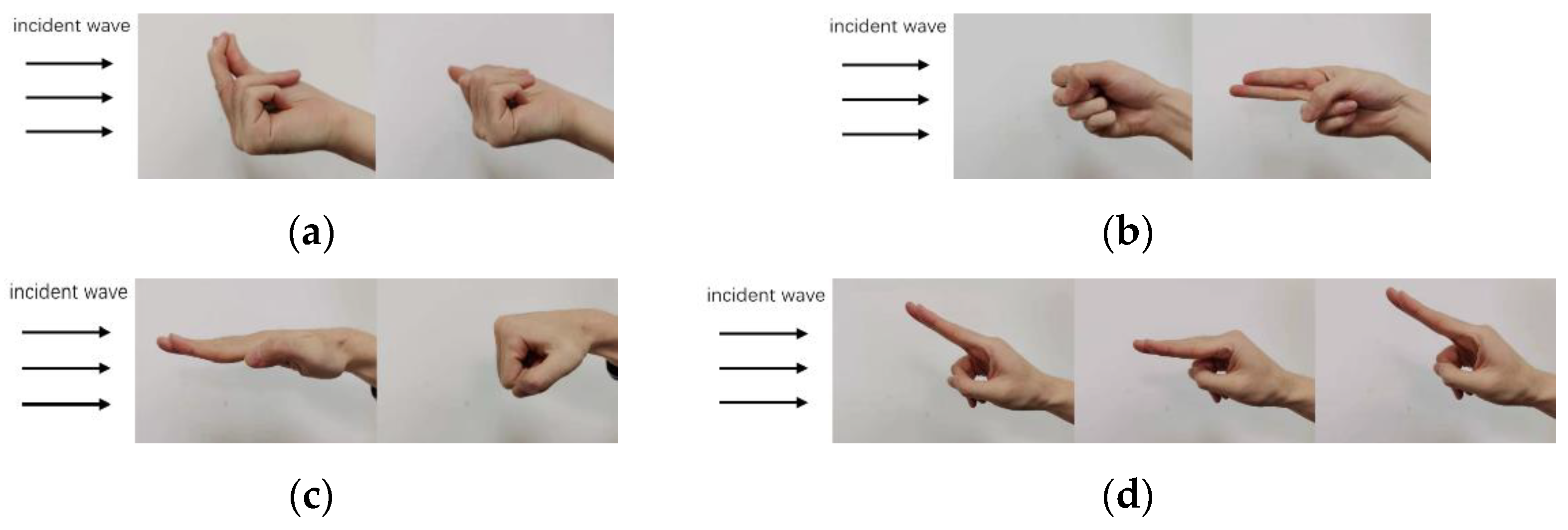 Clustering-Driven DGS-Based Micro-Doppler Feature Extraction for Automatic Dynamic Hand Gesture ...