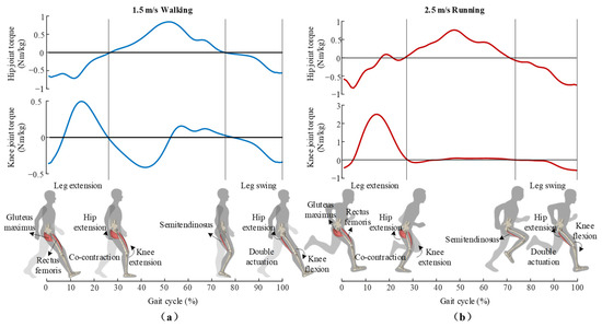Modulating Multiarticular Energy during Human Walking and Running with ...