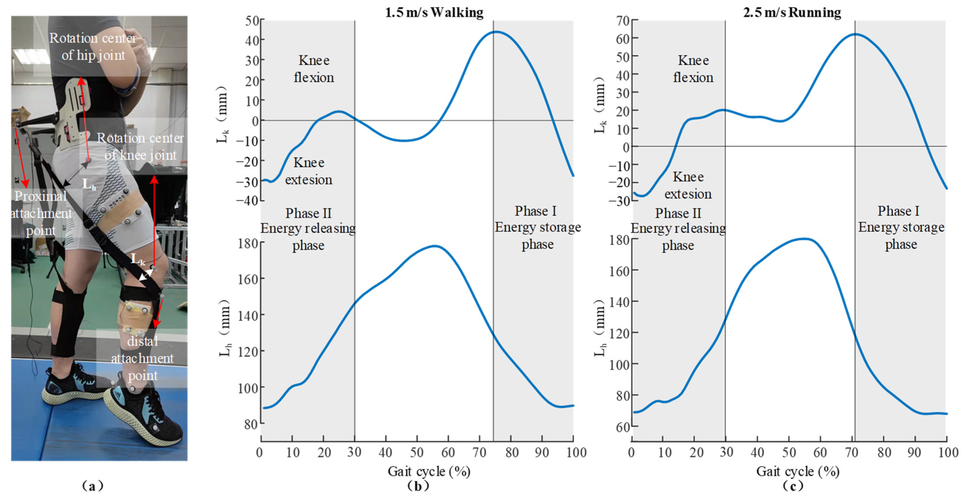 Modulating Multiarticular Energy during Human Walking and Running with ...