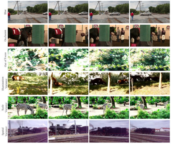 Attention-Guided Disentangled Feature Aggregation for Video Object Detection