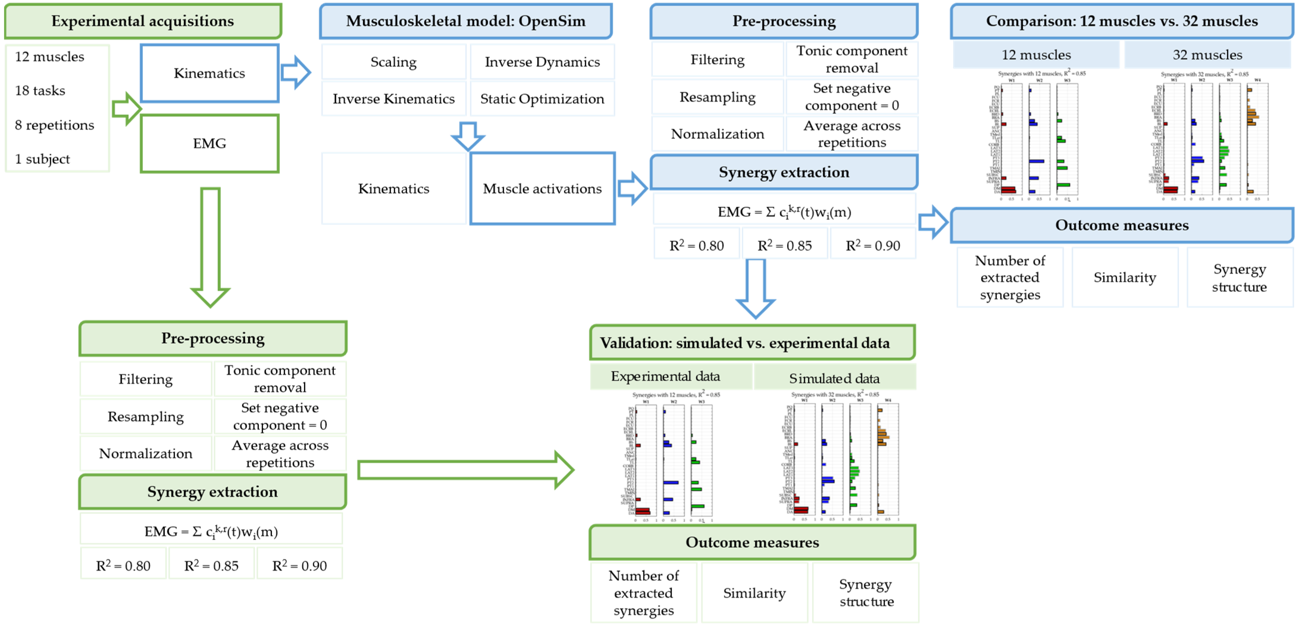 The Number and Structure of Muscle Synergies Depend on the Number of ...