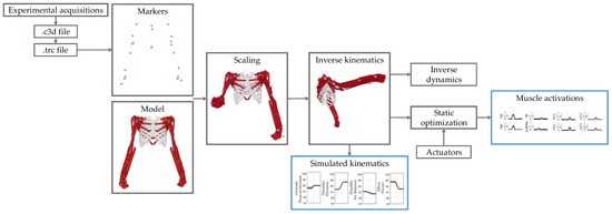 The Number and Structure of Muscle Synergies Depend on the Number of ...