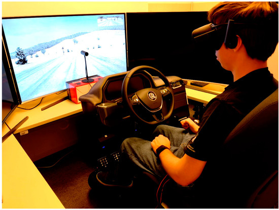 Electrogastrogram-Derived Features for Automated Sickness Detection in ...