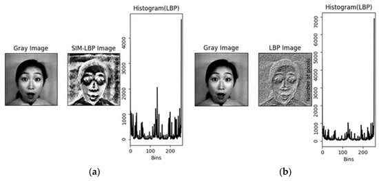 Facial Feature Extraction Using a Symmetric Inline Matrix-LBP Variant for Emotion Recognition