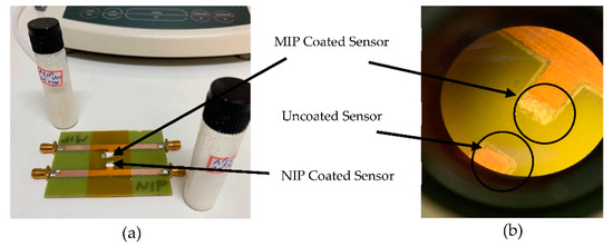 A Highly Sensitive Molecularly Imprinted Polymer (MIP)-Coated Microwave ...