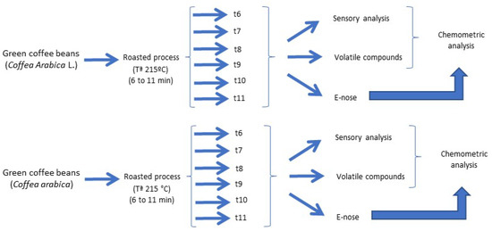 Evaluation of the Olfactory Quality of Roasted Coffee Beans Using a ...
