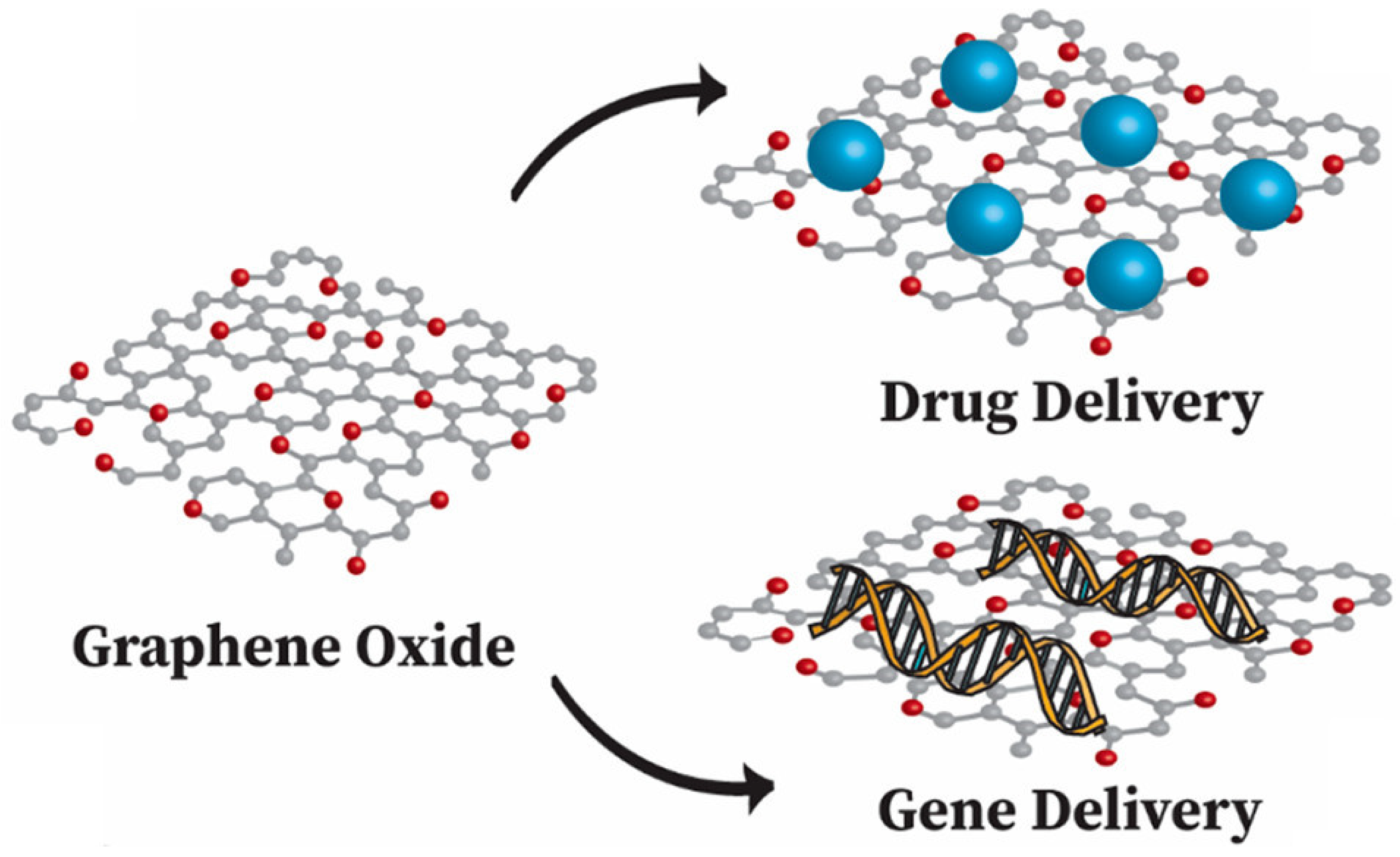 Graphene Incorporated Electrospun Nanofiber for Electrochemical Sensing ...