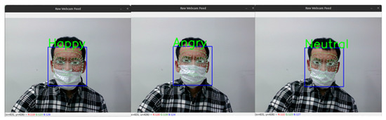 Development of Real-Time Landmark-Based Emotion Recognition CNN for Masked Faces