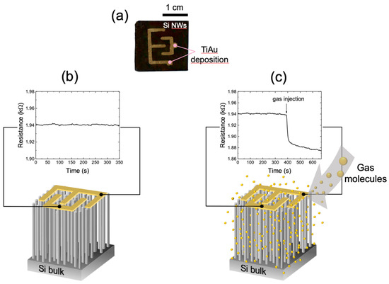 Sensors | Free Full-Text | Luminescent Silicon Nanowires as Novel ...