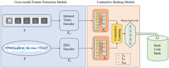 Cross-Modal Contrastive Hashing Retrieval for Infrared Video and EEG