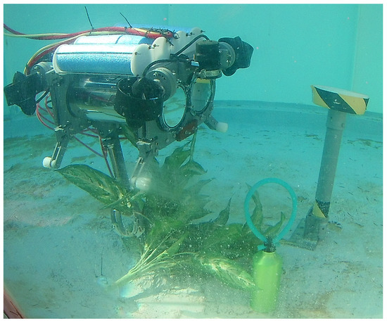 Control Strategy of an Underactuated Underwater Drone-Shape Robot for ...