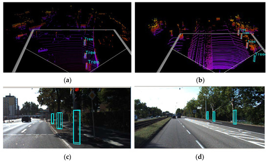 LiDAR and Deep Learning-Based Standing Tree Detection for Firebreaks Applications