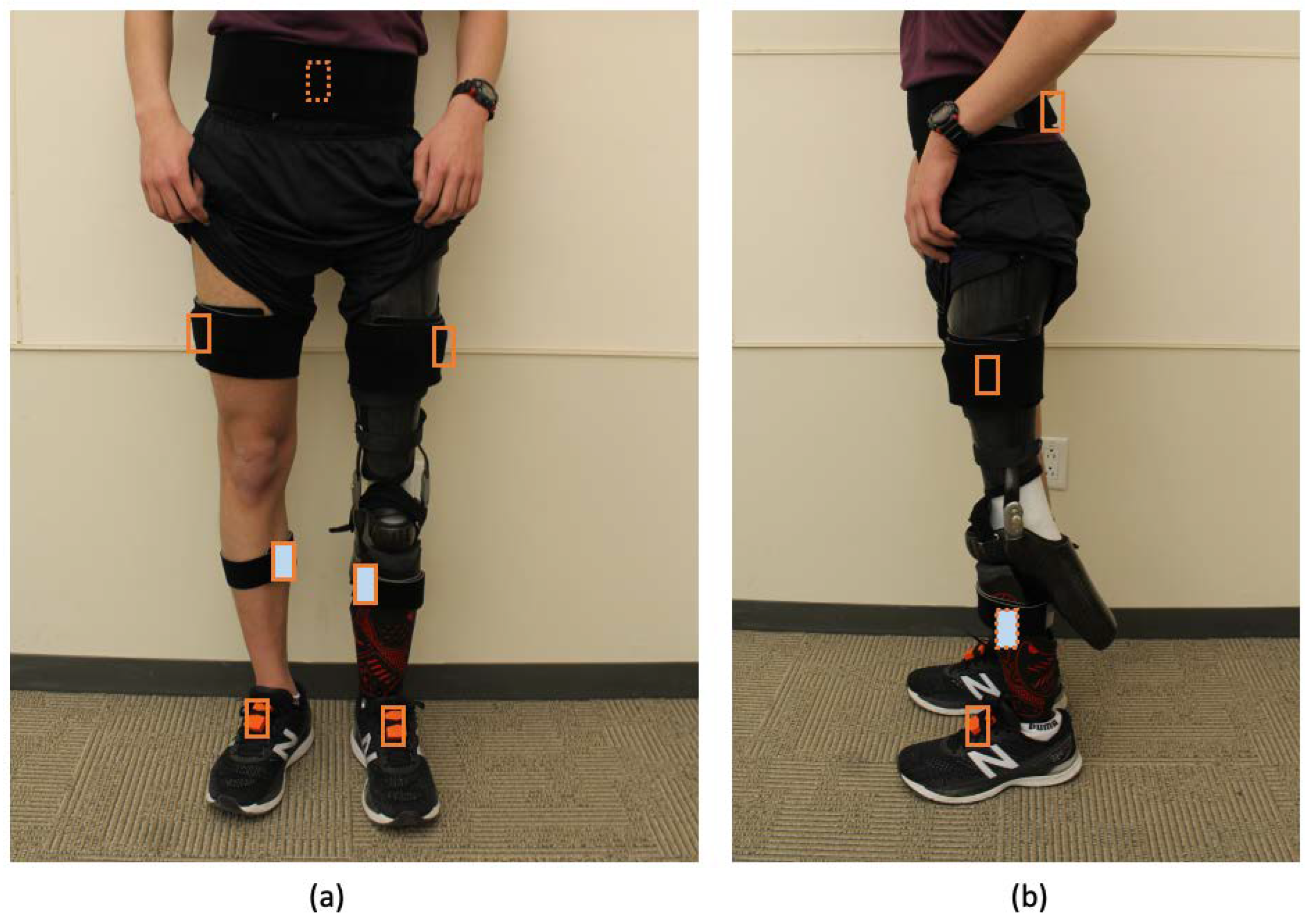 Rules-Based Real-Time Gait Event Detection Algorithm for Lower-Limb Prosthesis Users during ...