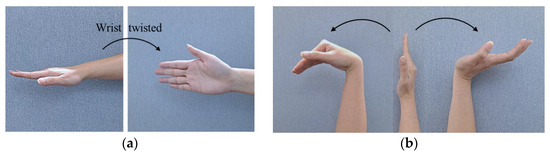Sensor-Based Motion Tracking System Evaluation for RULA in Assembly Task
