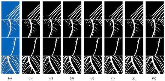 Soybean Seedling Root Segmentation Using Improved U-Net Network