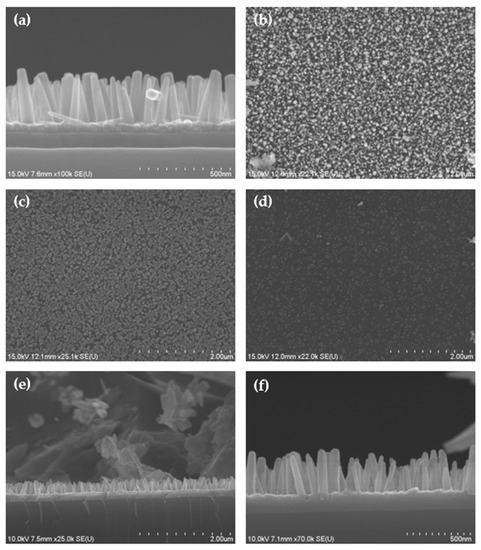 Bottom-Gated ZnO TFT Pressure Sensor with 1D Nanorods