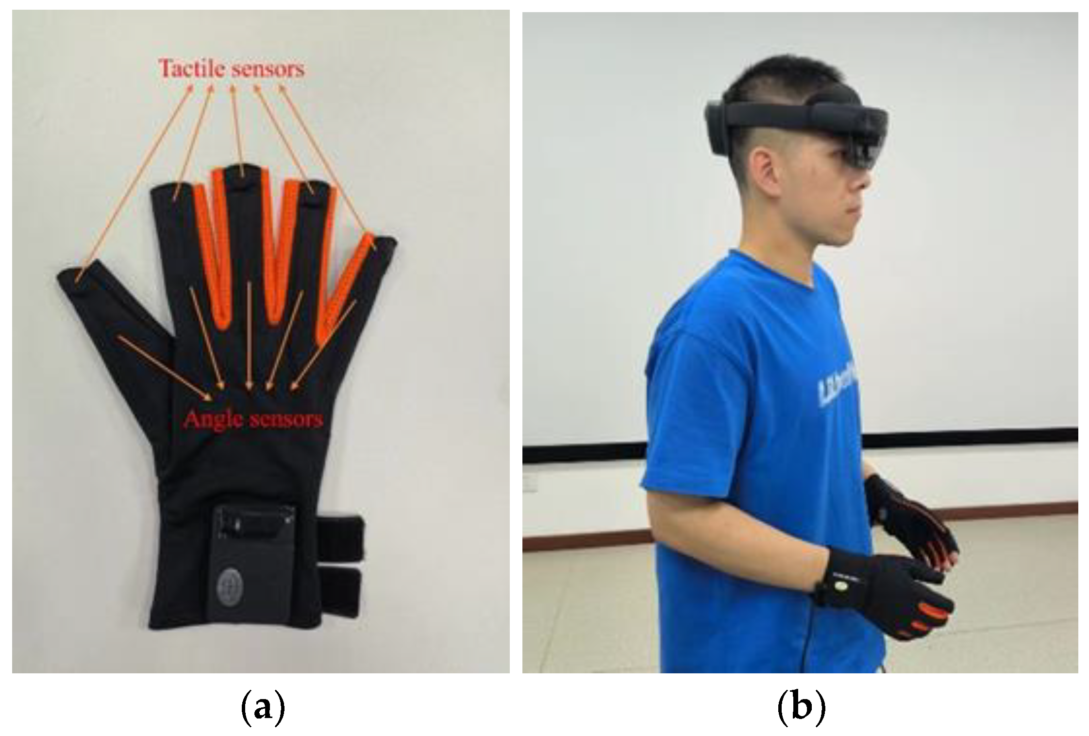 The Dynamic Target Motion Perception Mechanism of Tactile-Assisted ...