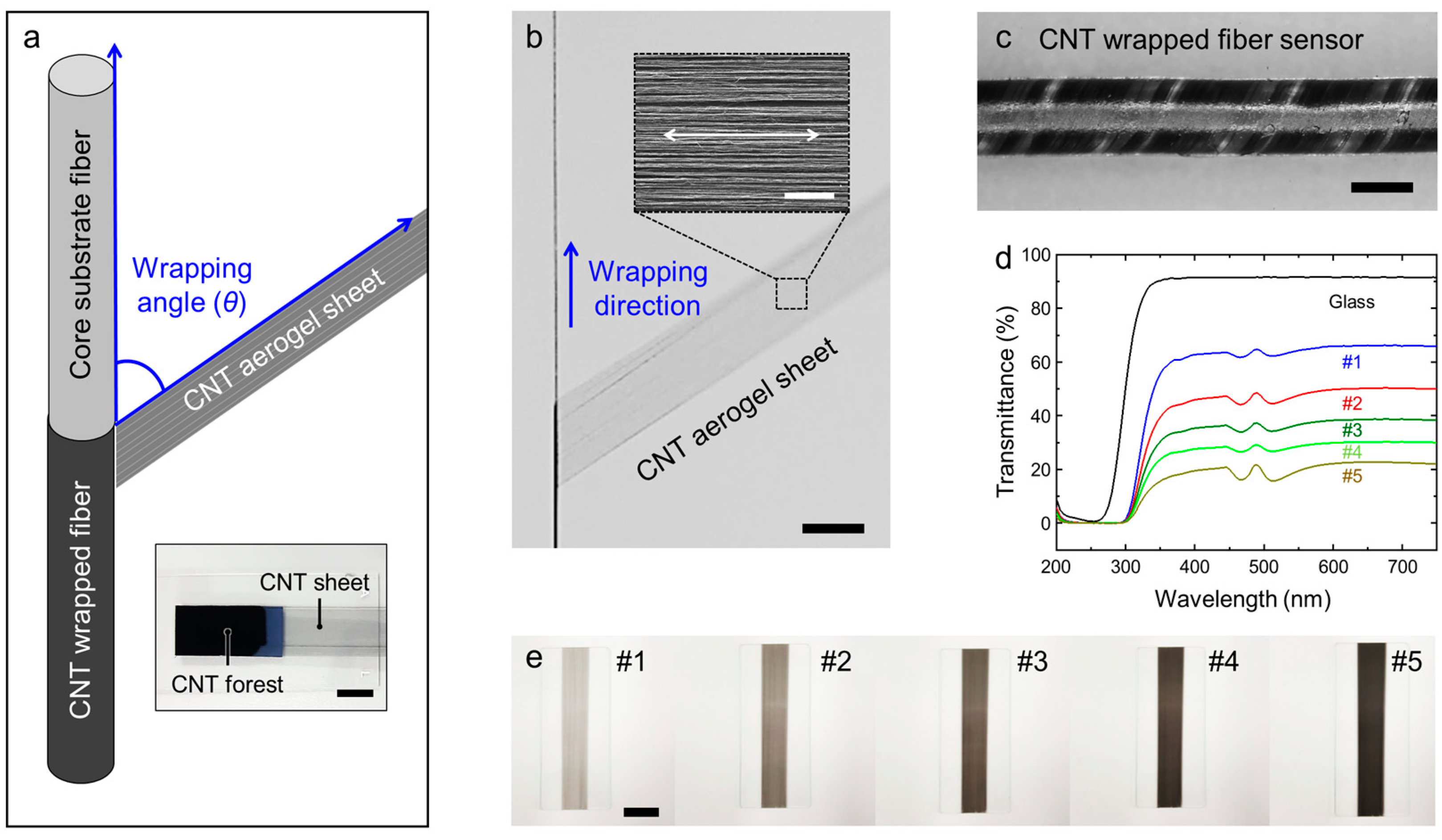 Elastomeric Core/Conductive Sheath Fibers for Tensile and Torsional ...