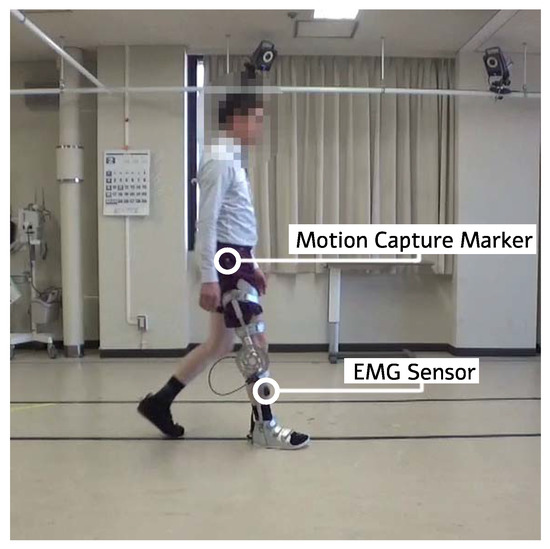 Passive Exoskeleton with Gait-Based Knee Joint Support for Individuals with Cerebral Palsy