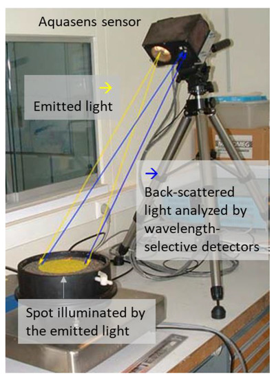 Estimation of Water Depth on Road Surfaces Using Accelerometric Signals