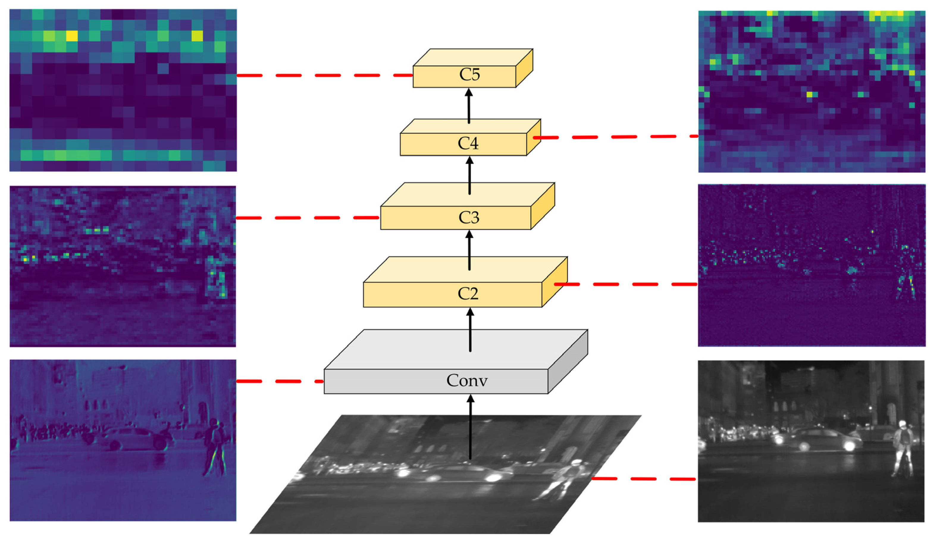 IPD-Net: Infrared Pedestrian Detection Network via Adaptive Feature Extraction and Coordinate ...