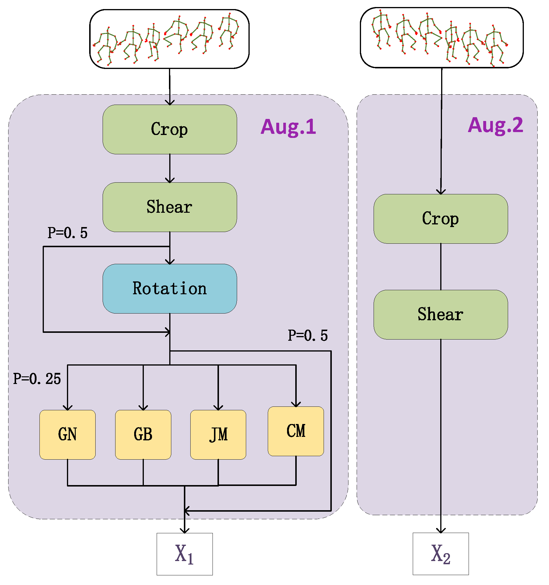 Self-Supervised Action Representation Learning Based on Asymmetric Skeleton Data Augmentation