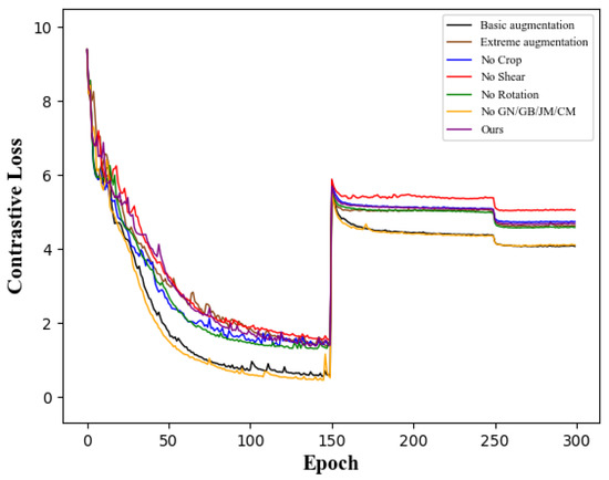Self-Supervised Action Representation Learning Based on Asymmetric Skeleton Data Augmentation