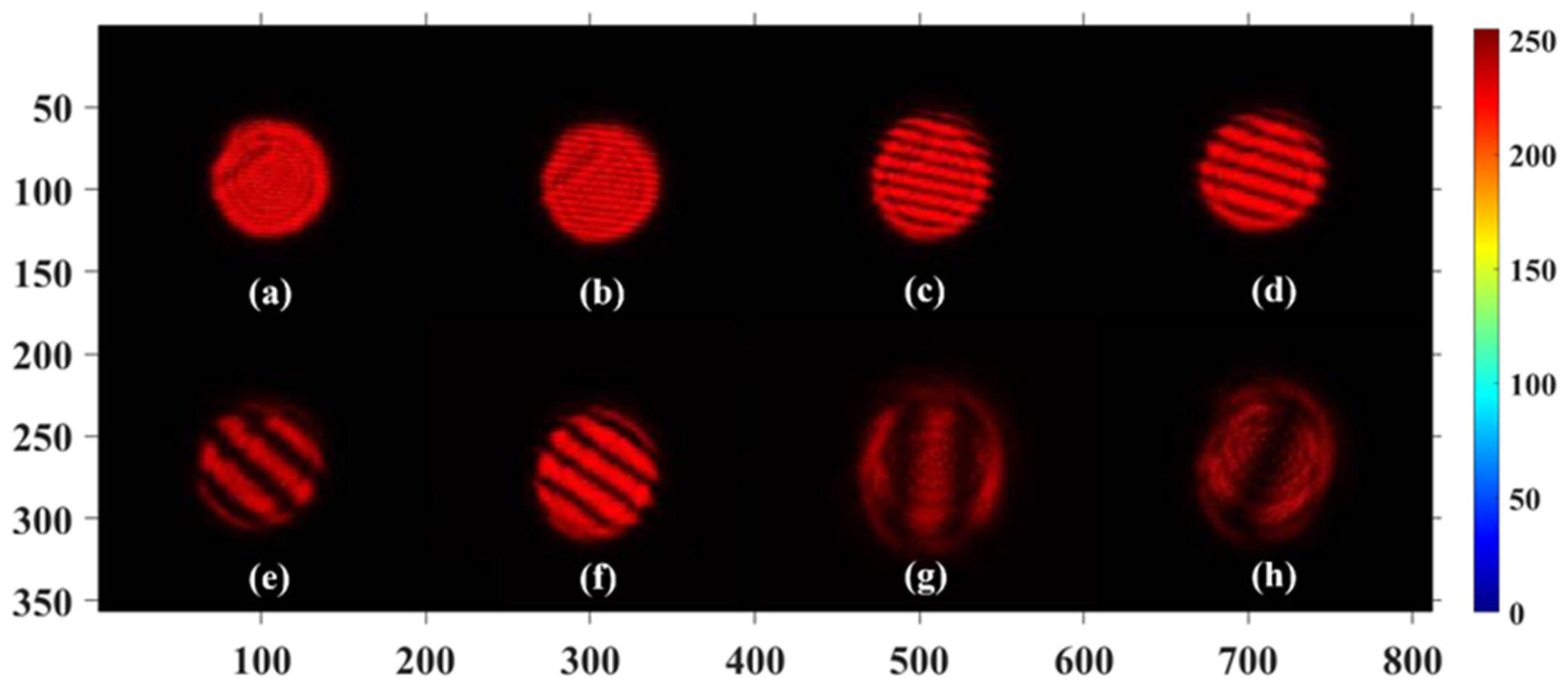 Dynamic Phase and Polarization Modulation Using Two-Beam Parallel Coding for Optical Storage in ...